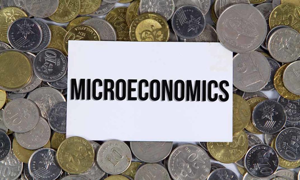 Microeconomics Basics ~ Skill Up
